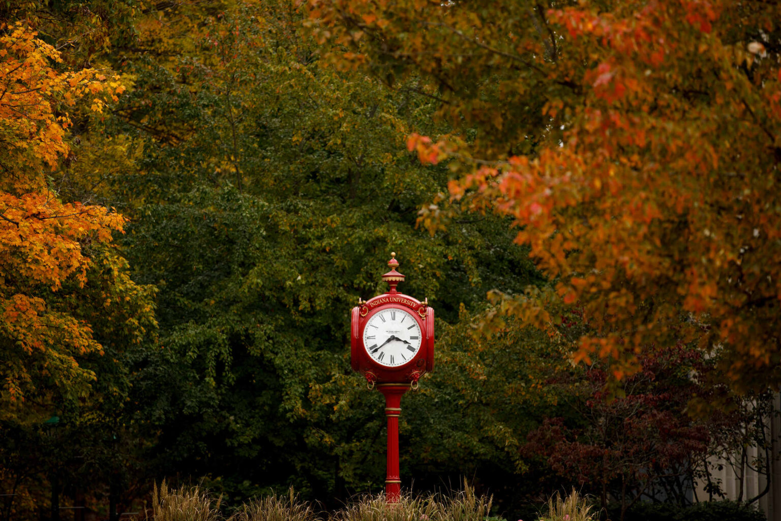 Fall foliage at Indiana University - James Brosher Photography