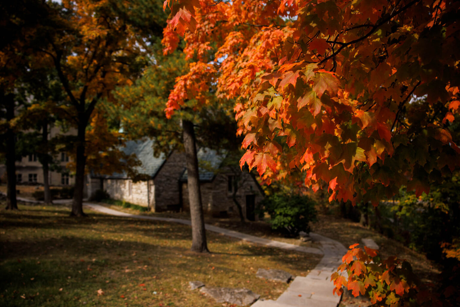 Fall at Indiana University - James Brosher Photography
