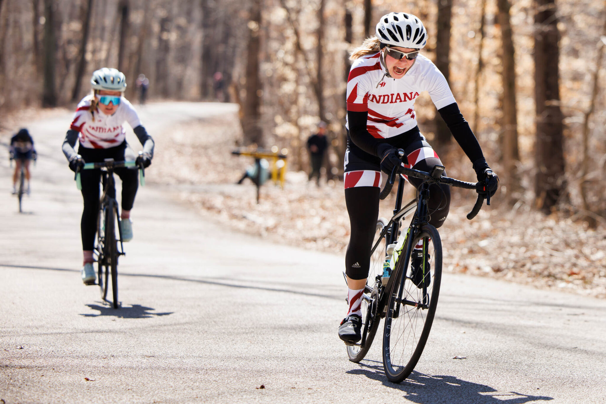 Candy Stripe Classic - James Brosher Photography